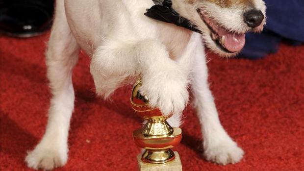 Uggie, el perro de 'The Artist', interpretará un número junto a Billy ...