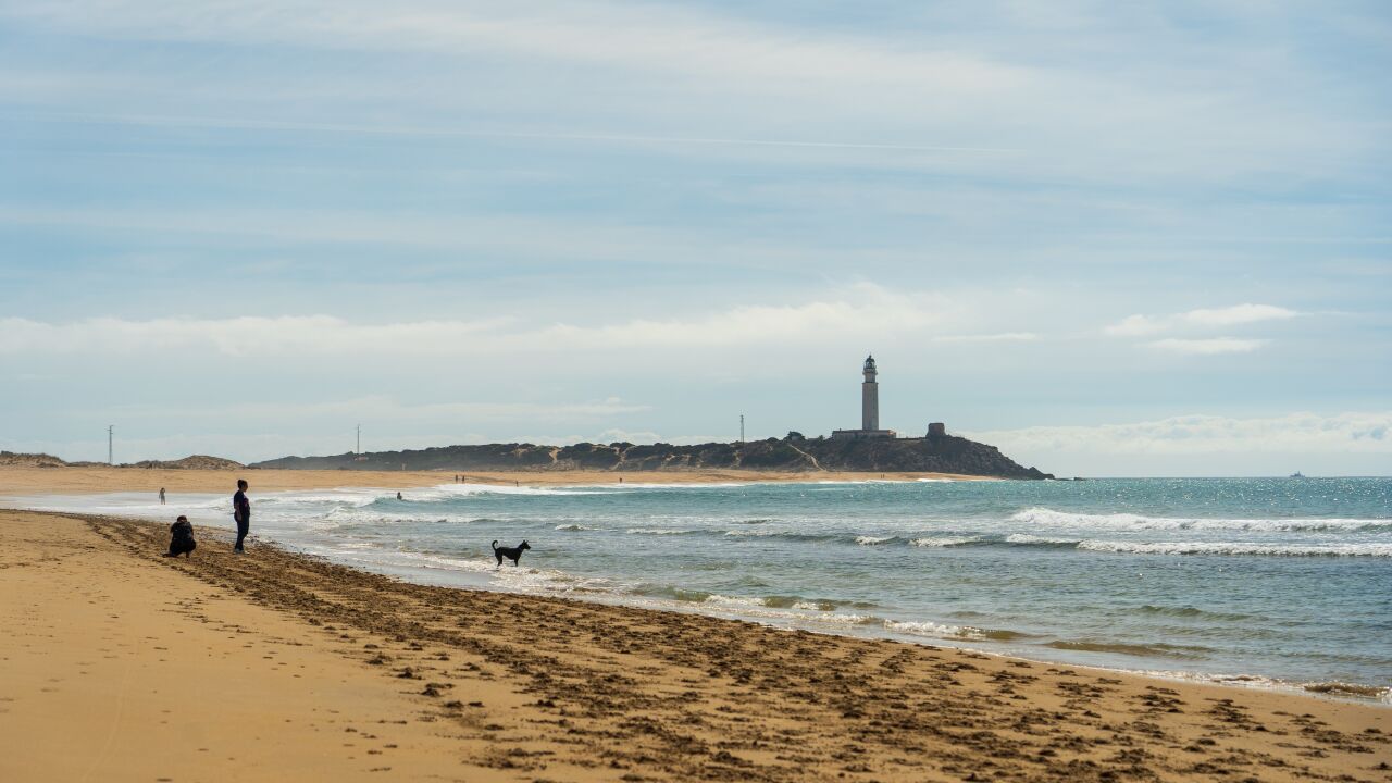 ¿Qué significa "eres más listo que Briján" y 'chumino'? Maribel explica ...