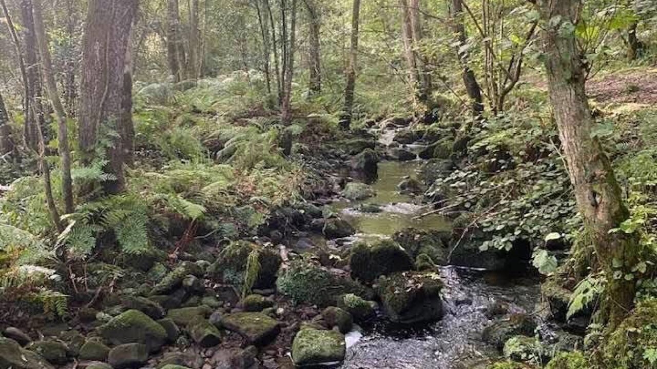 Argüero (Asturias) | Europa FM